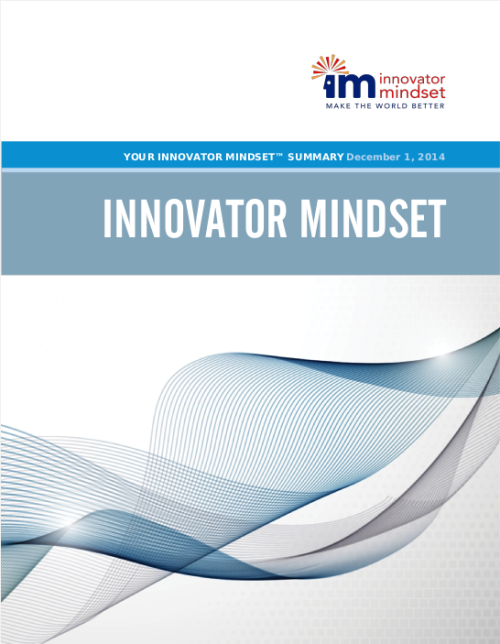 Innovator Mindset® – Develop Your Innovativeness Index for Business ...